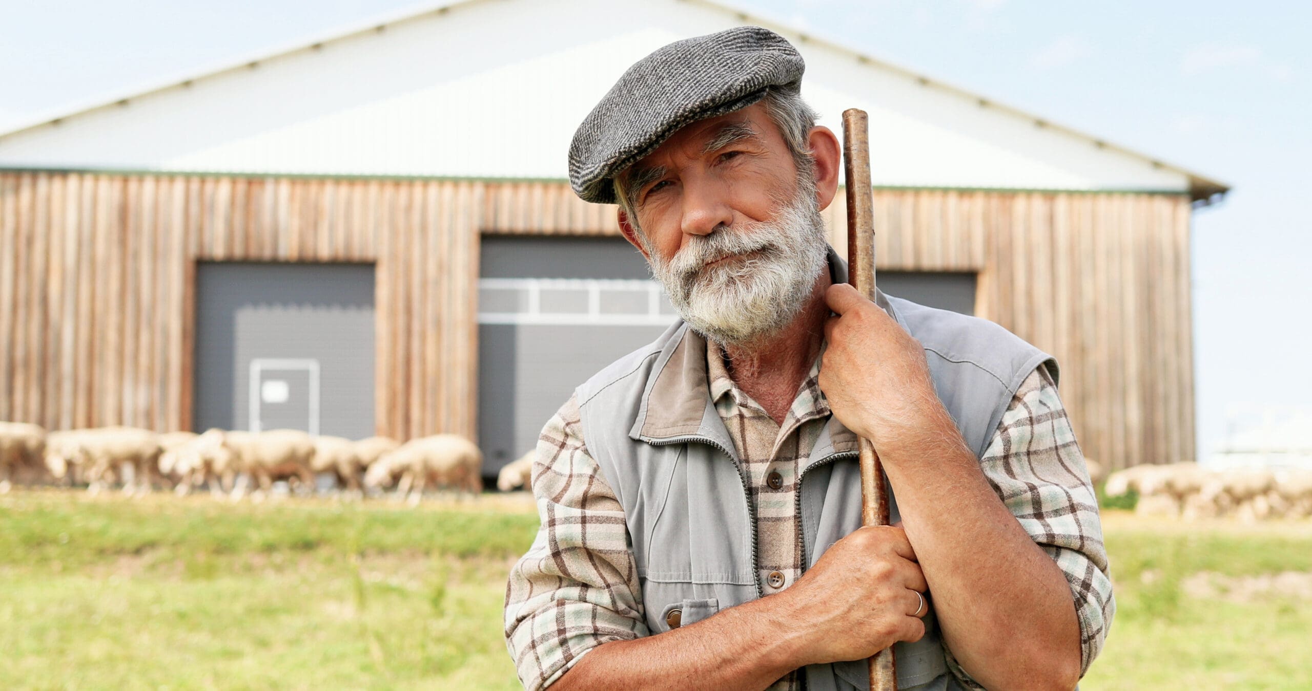 A shepherd's insights - CBMC | Christian Business Men's Connection Oklahoma